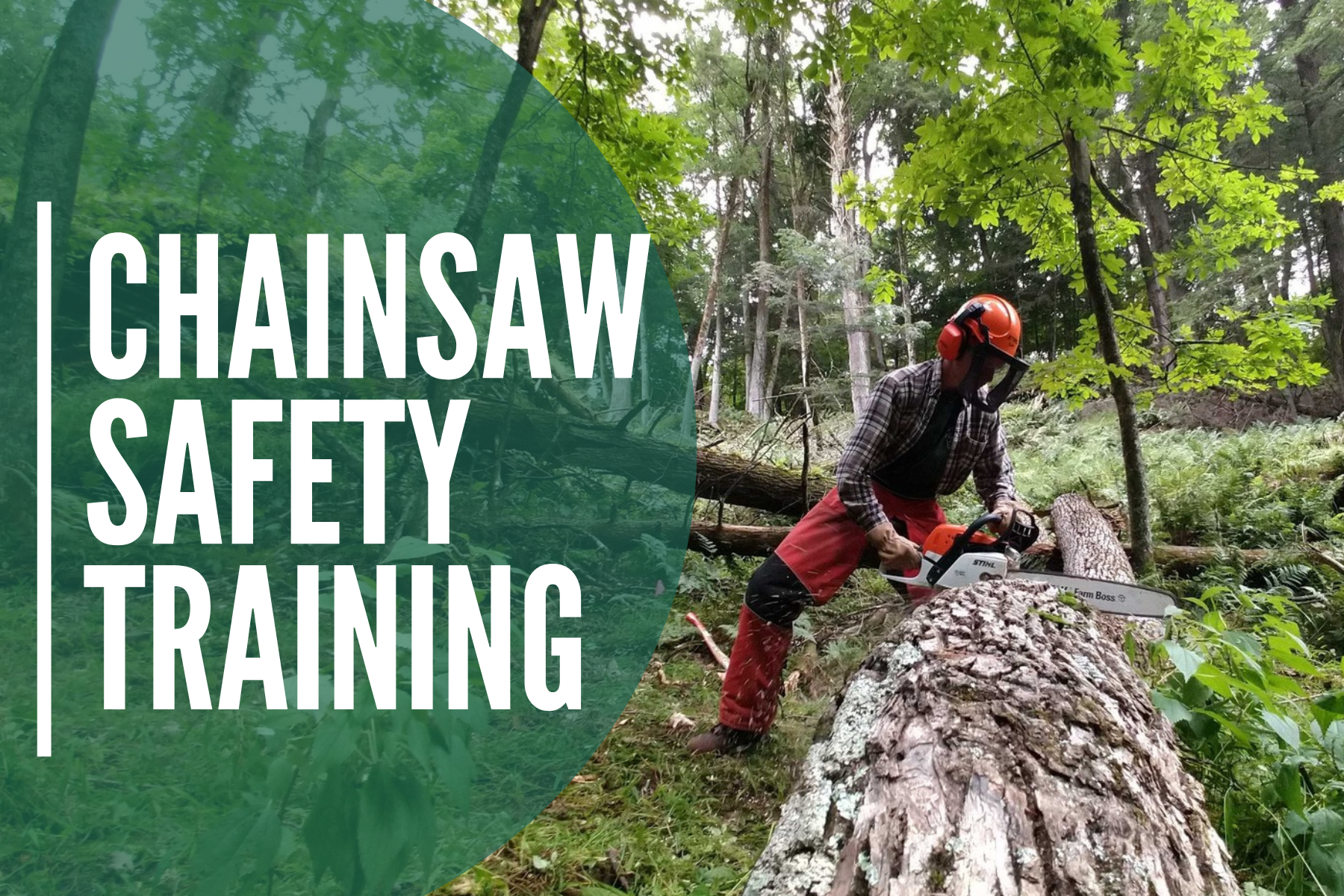 Chainsaw Safety Training – Upham Woods